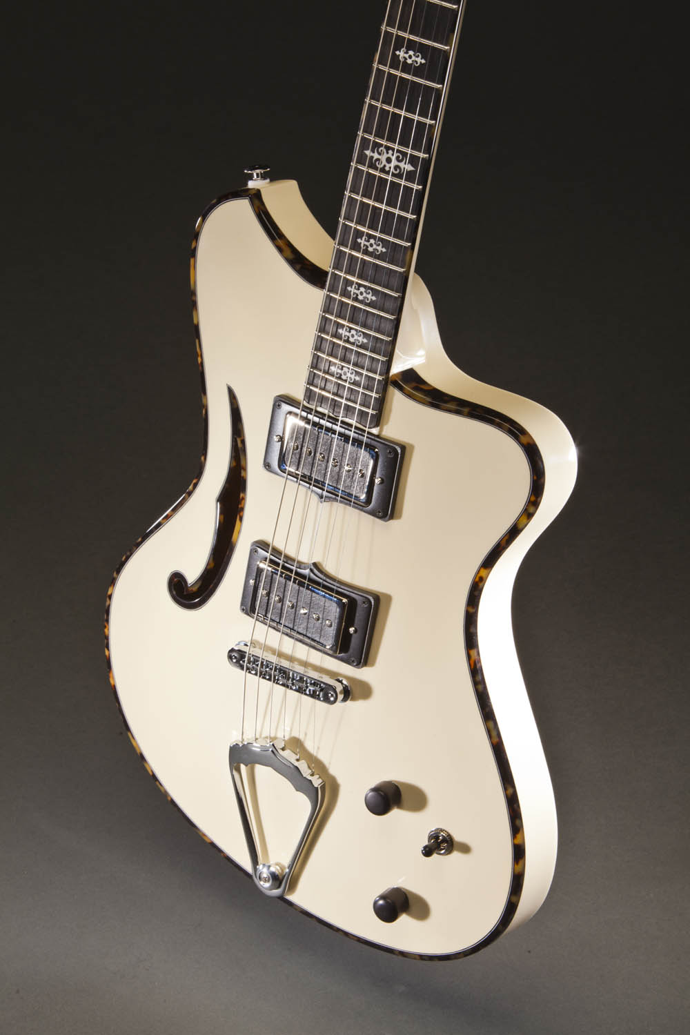 Gallery - Scott Walker Guitars